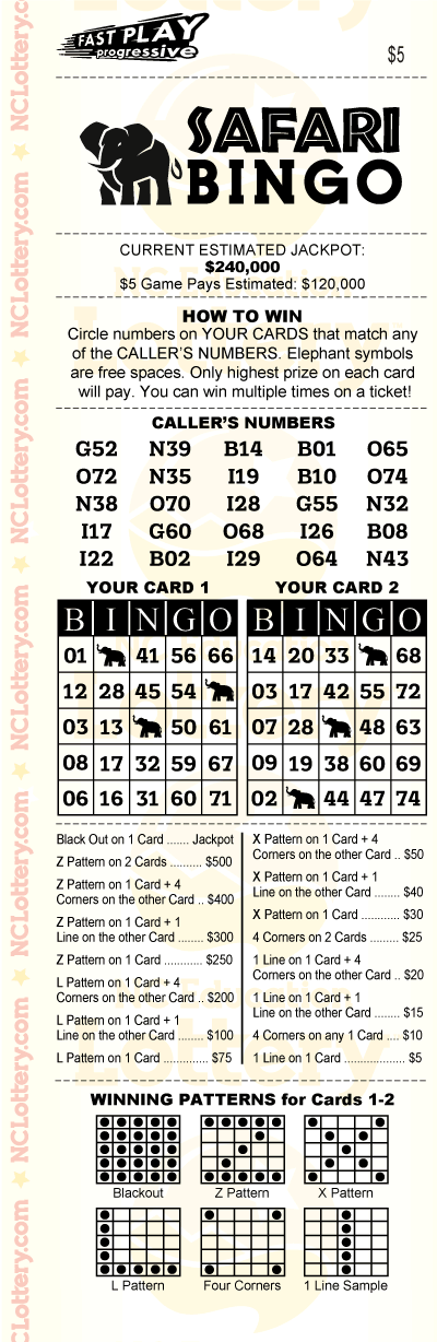 Fast Play - Safari Bingo | NC Lottery